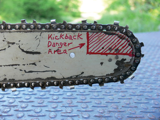 How To Cut Down A Small Tree With a Chainsaw - Grit